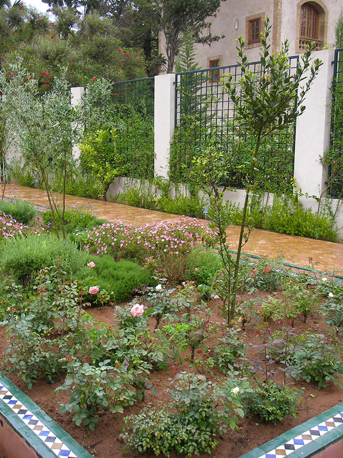Spring makes the garden of Al Andalus in Rabat blossom - Med-O-Med