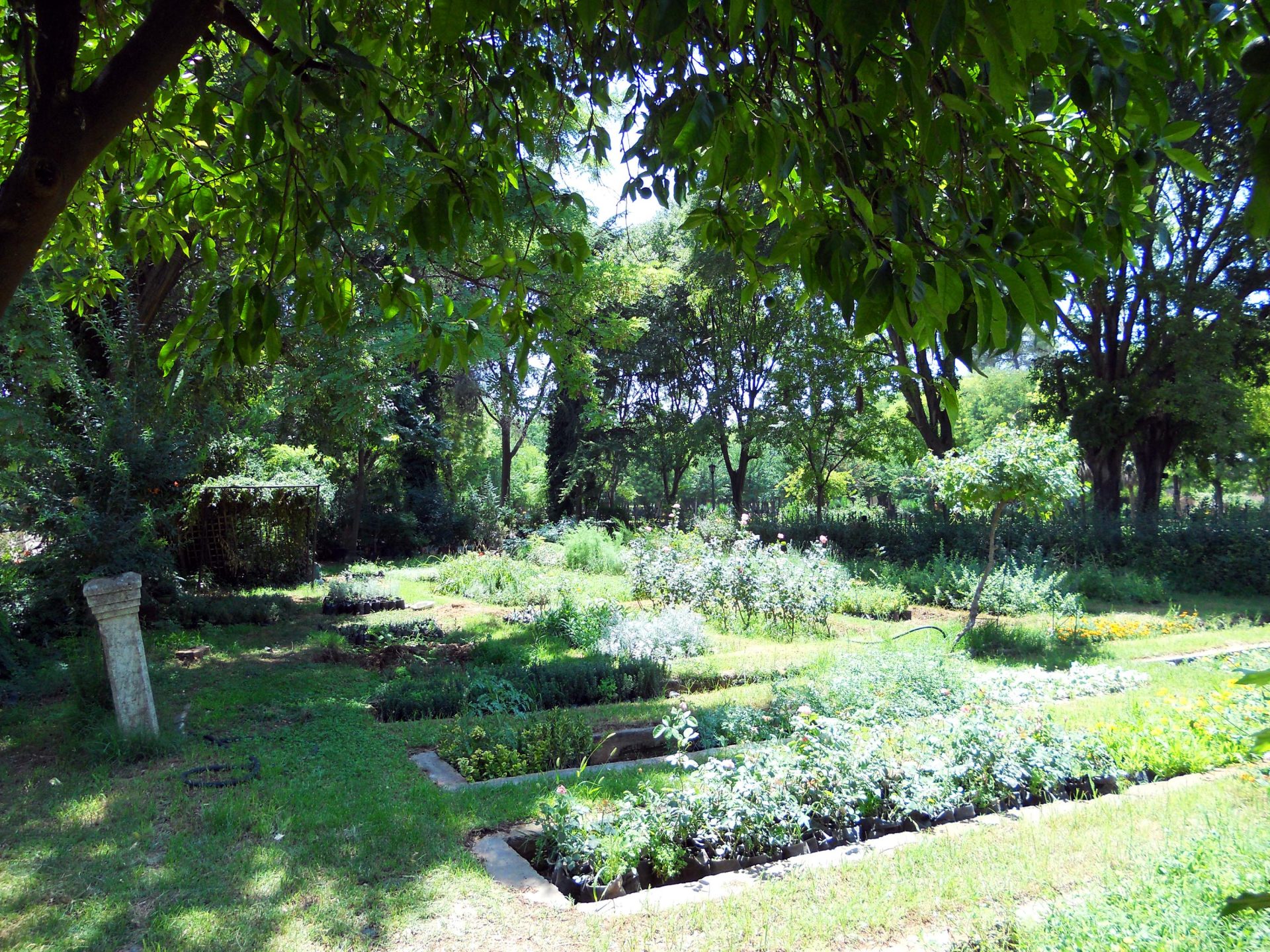 Al-Andalus garden, Aleppo, Syria - Med-O-Med