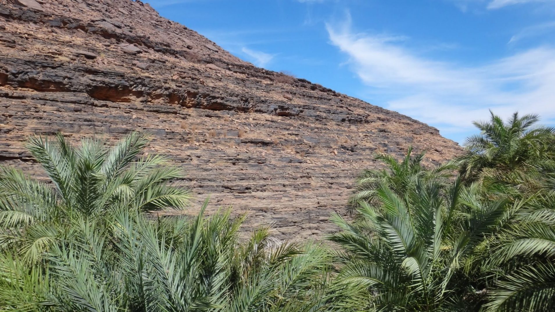 Touat Oases group, ALGERIA - Med-O-Med