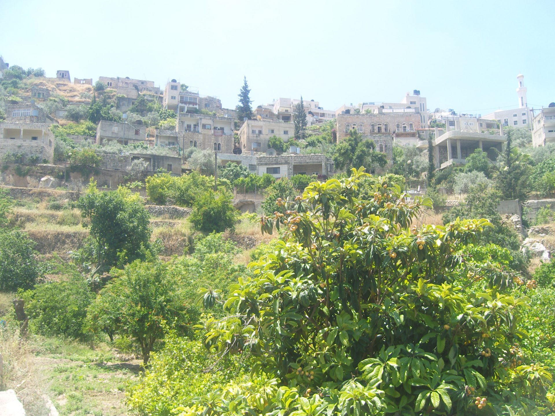 BATTIR AND SURROUNDINGS, PALESTINE - Med-O-Med