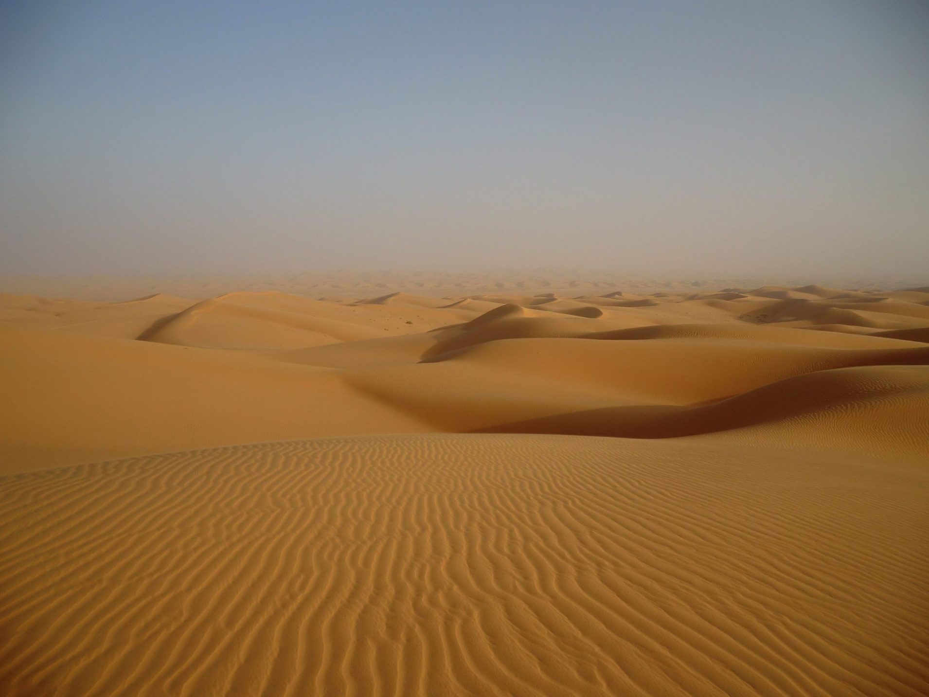 Gourara Oases Group, ALGERIA - Med-O-Med