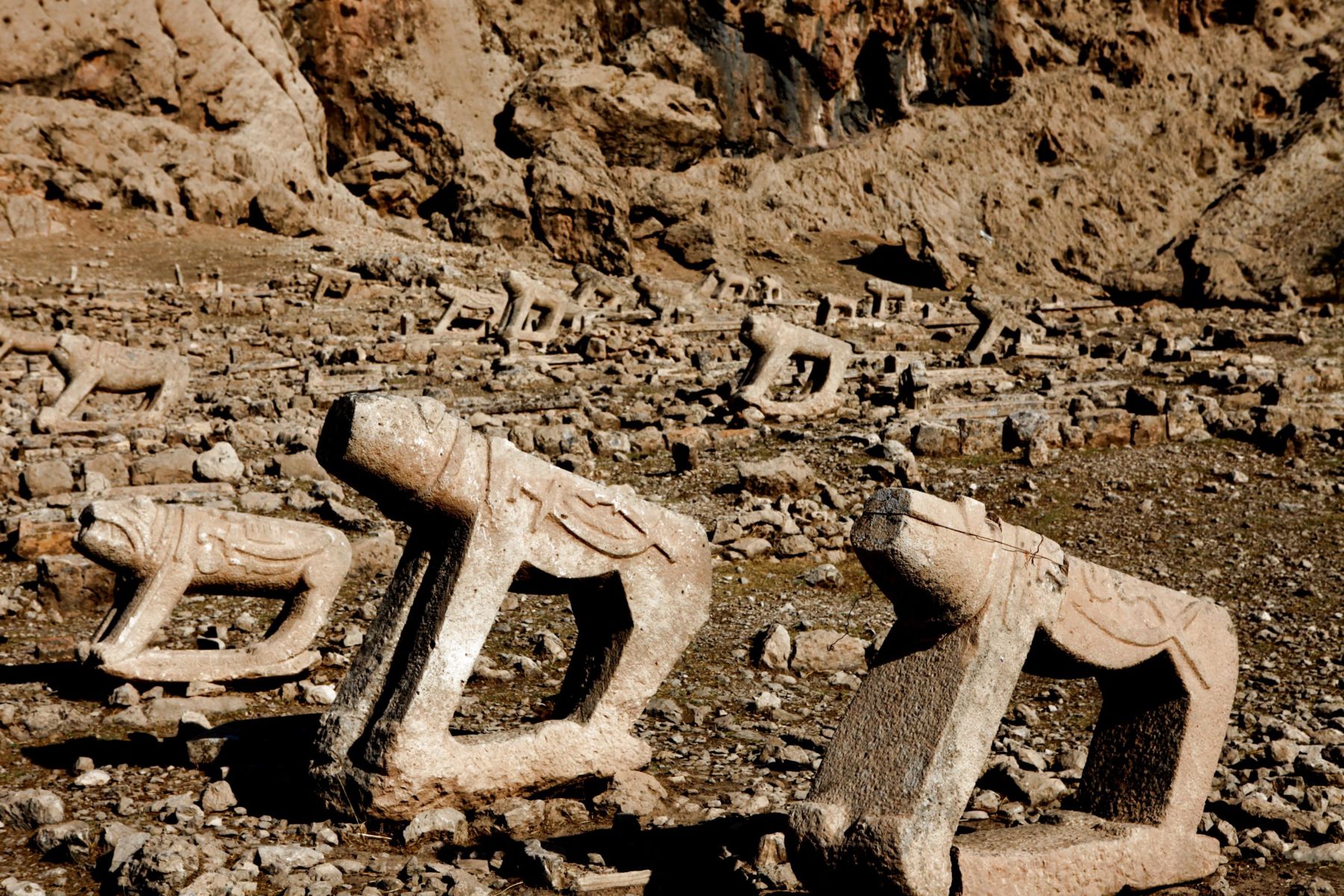 Izeh, IRAN - Med-O-Med