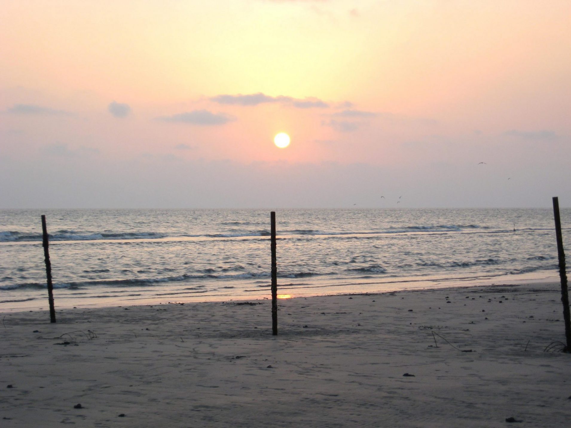 Balhaf oasis and the Burum Coastal area, YEMEN - Med-O-Med