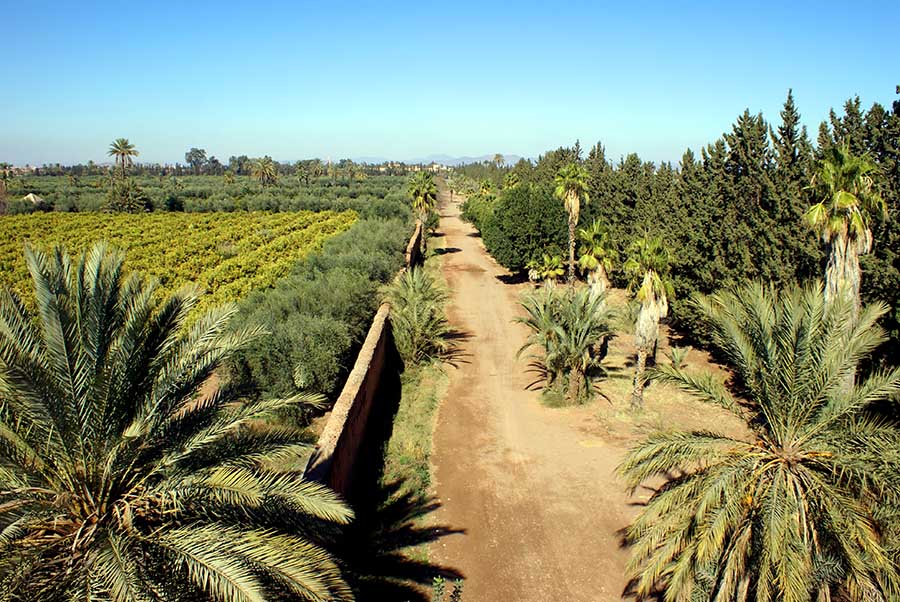 Agdal gardens, Marrakesh, Morocco - Med-O-Med