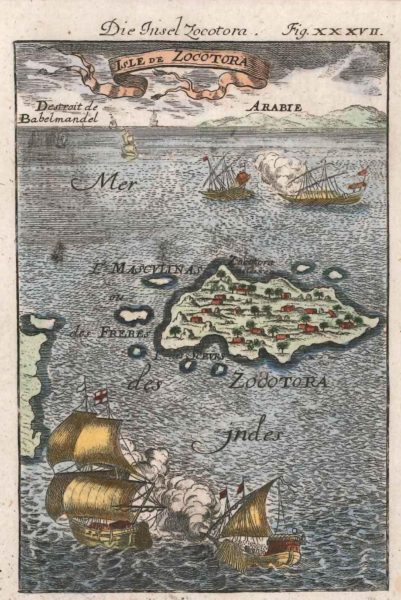 The Yemeni Island of Socotra: a unique refuge for the dragon tree - Med ...