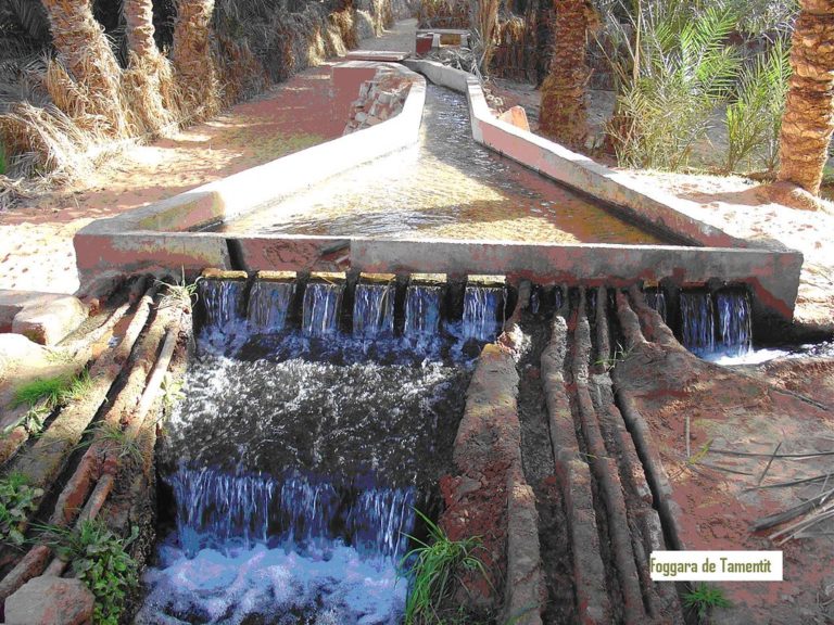 La foggara argelina, un sistema de irrigación en peligro - Med-O-Med