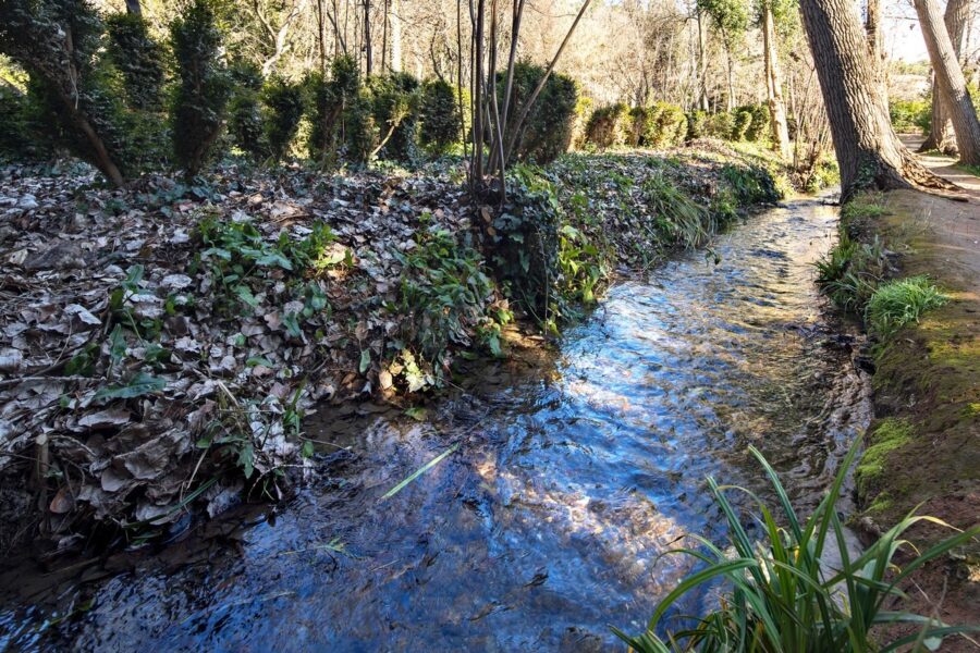 The Arabs' age-old invention against drought - Med-O-Med